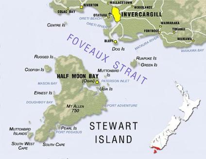 Sailing with Nine of Cups New Zealand's Stewart Island